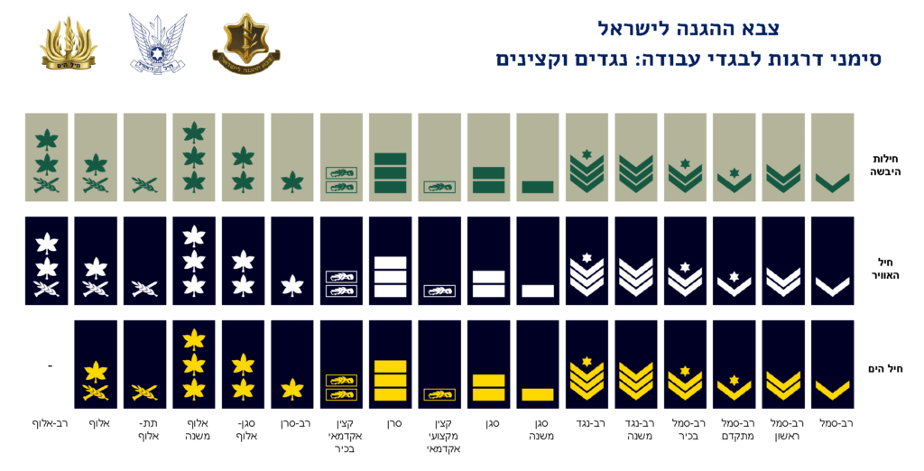 מידע על דרגות בצה"ל | MyArmy